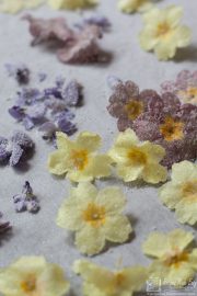 How to make Crystallised Flowers | Recipes Made Easy