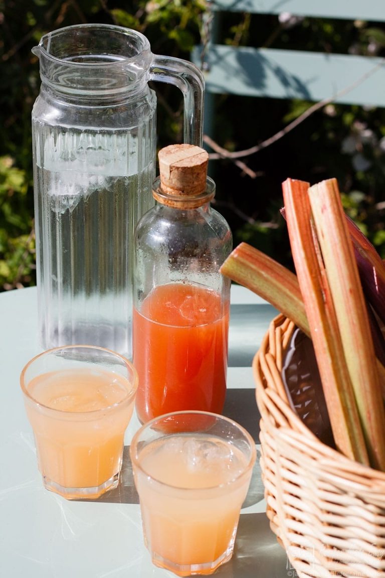 Homemade Blackcurrant Cordial | Recipes Made Easy