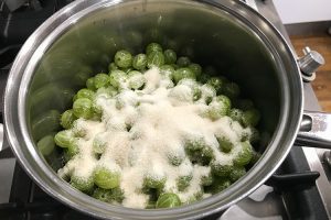 Gooseberry Fool | Recipes Made Easy