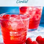 Homemade Raspberry Cordial | Recipes Made Easy