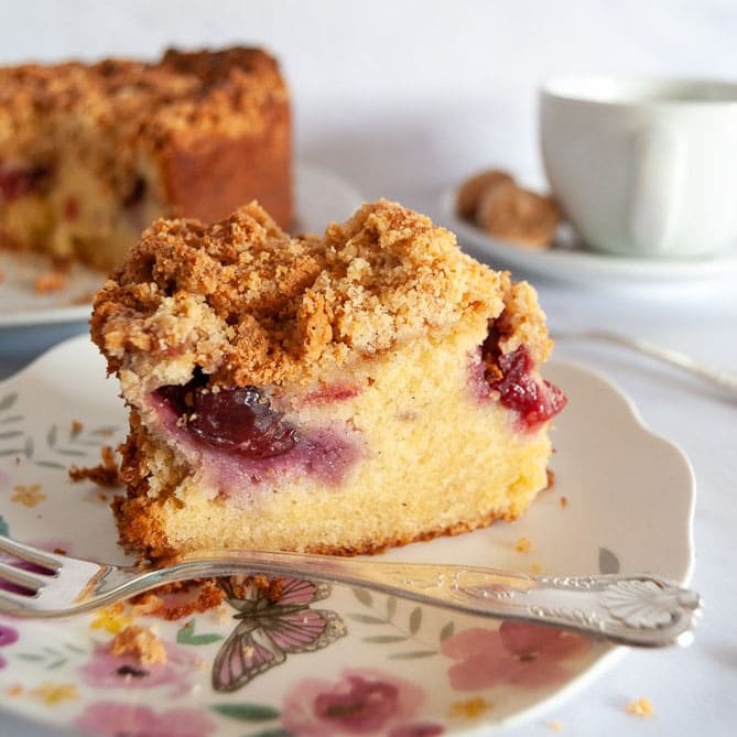 Plum Perfection | Recipes Made Easy