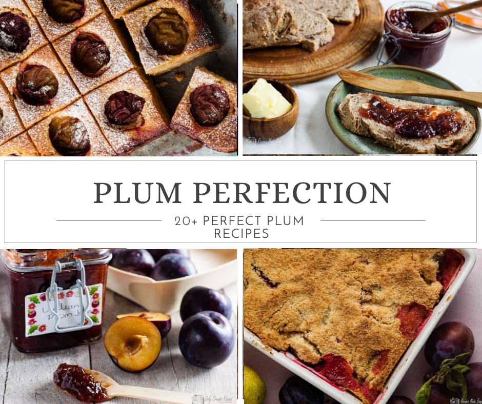 Plum Perfection | Recipes Made Easy